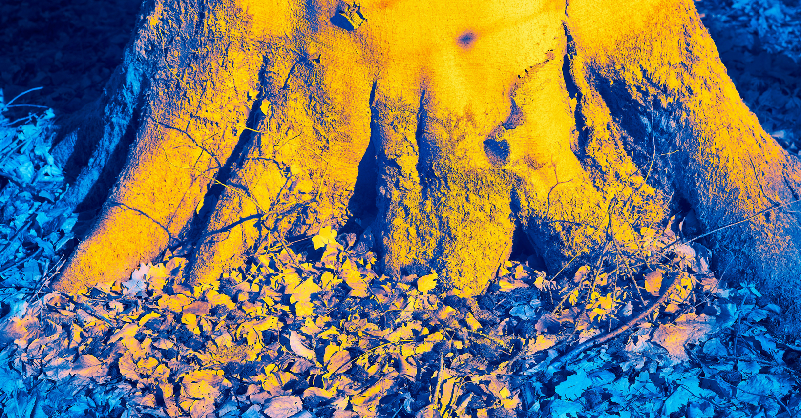 Can LiDAR See Through Ground or Walls? Capabilities Explained